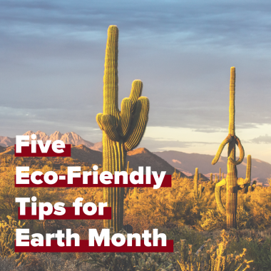 Five Eco-Friendly Tips for Earth Month | Cooper Center